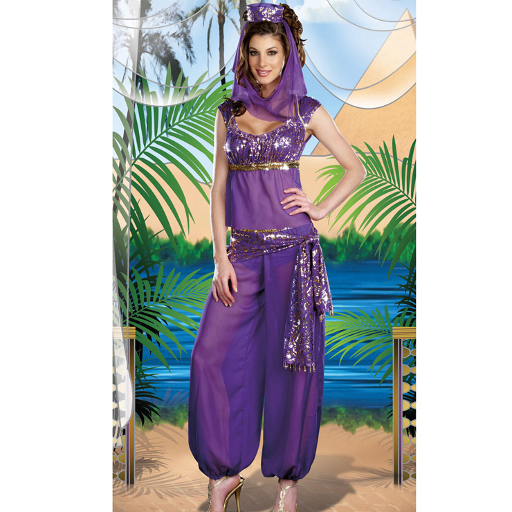 Sexy Genie Of The Lamp Fancy Dress Costume G2832