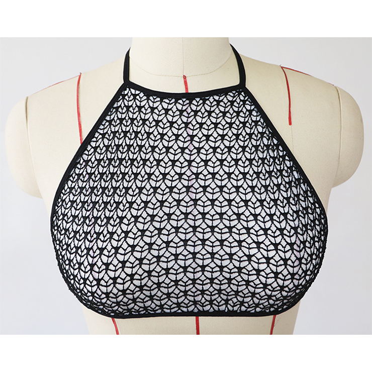 Charming Sheer Lace Texture Halter Lace-up Bra and Panty Lingerie Set ...